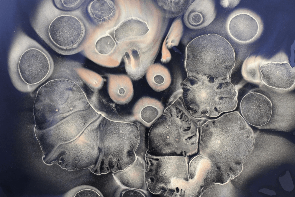 The Oral-Brain Axis: Unraveling the Secrets to a Healthy Mind and Body