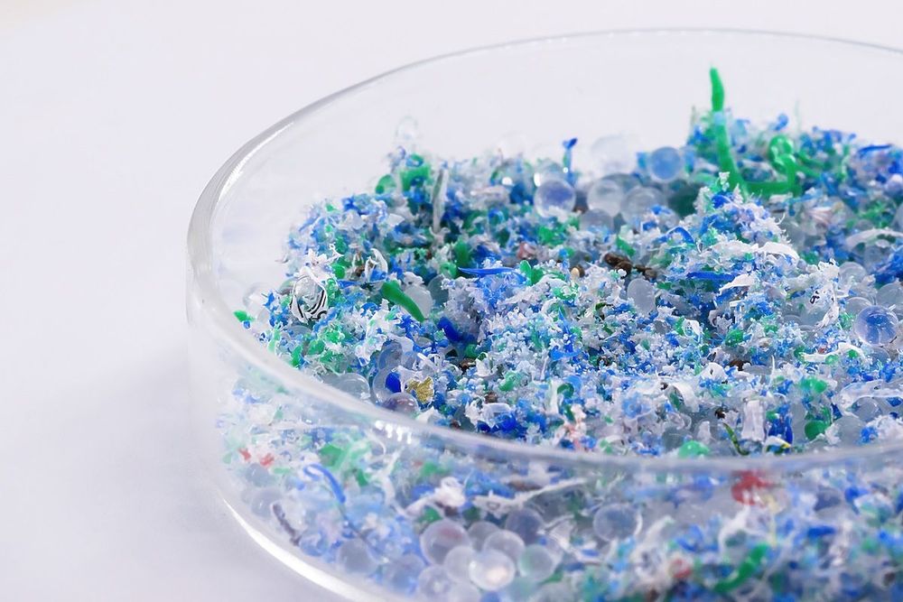Microplastics: The Invisible Threat in Our Bodies | Viome Blog