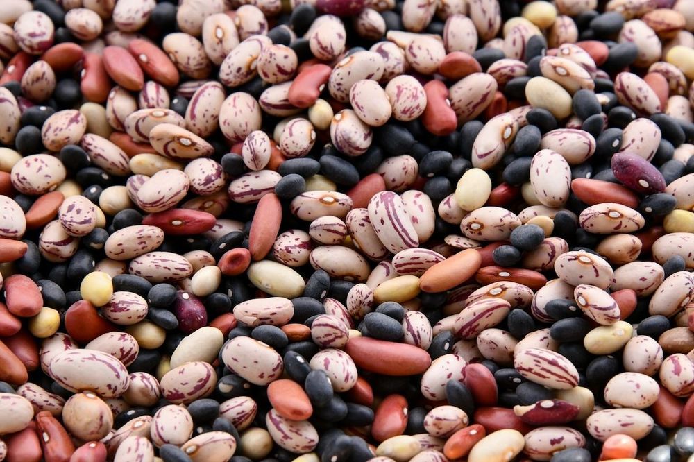 Finding It Hard to Digest Beans? Here's 8 Tips To Make It Easier