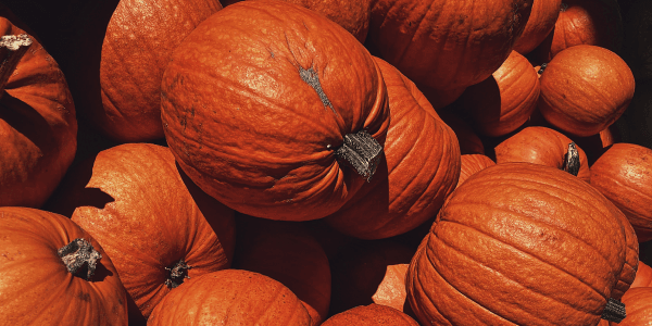 How to Navigate the Halloween Sugar Rush